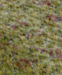 Villanova University Interactive Map & Virtual Tour